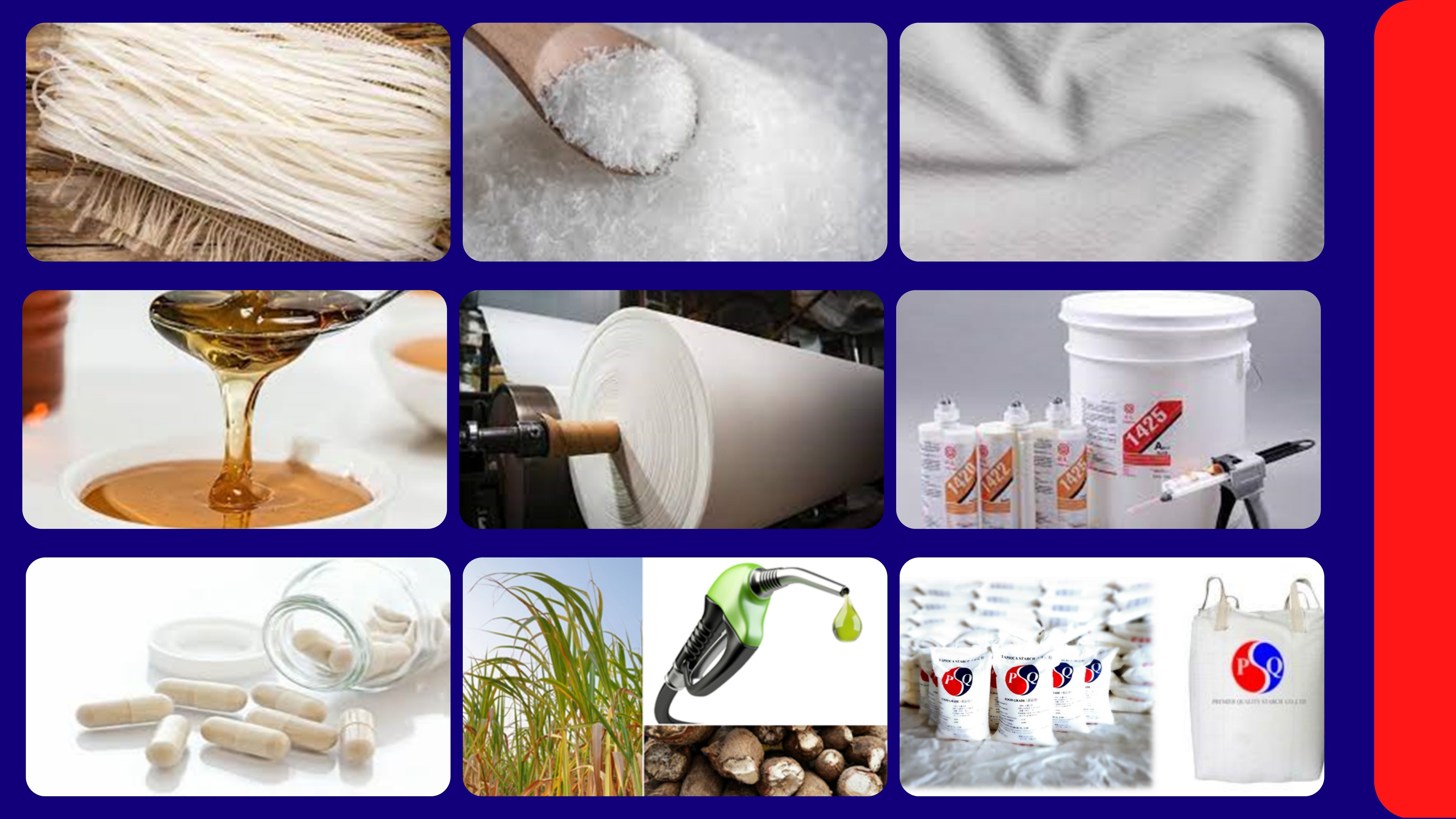 10 ข้อน่ารู้ PQS หุ้นแป้งมัน ดีกรีผู้นำอุตสาหกรรมภาคตะวันออกเฉียงเหนือ